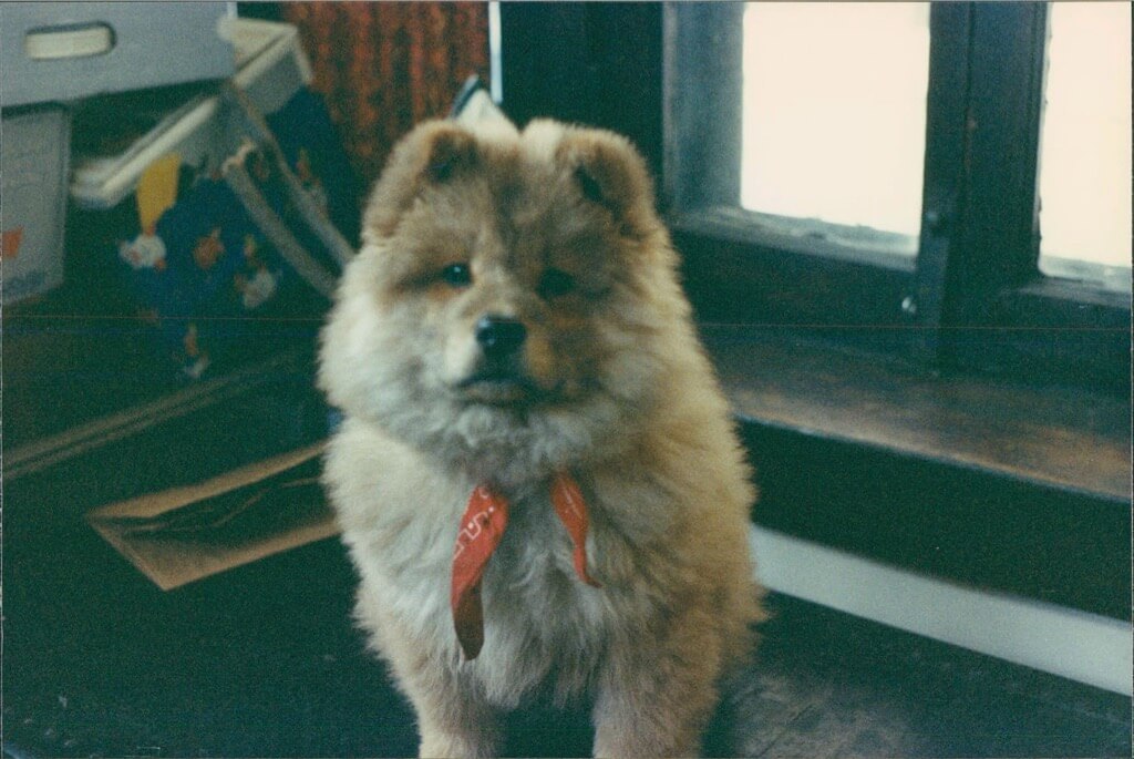 043_43.png – ron stempkowski