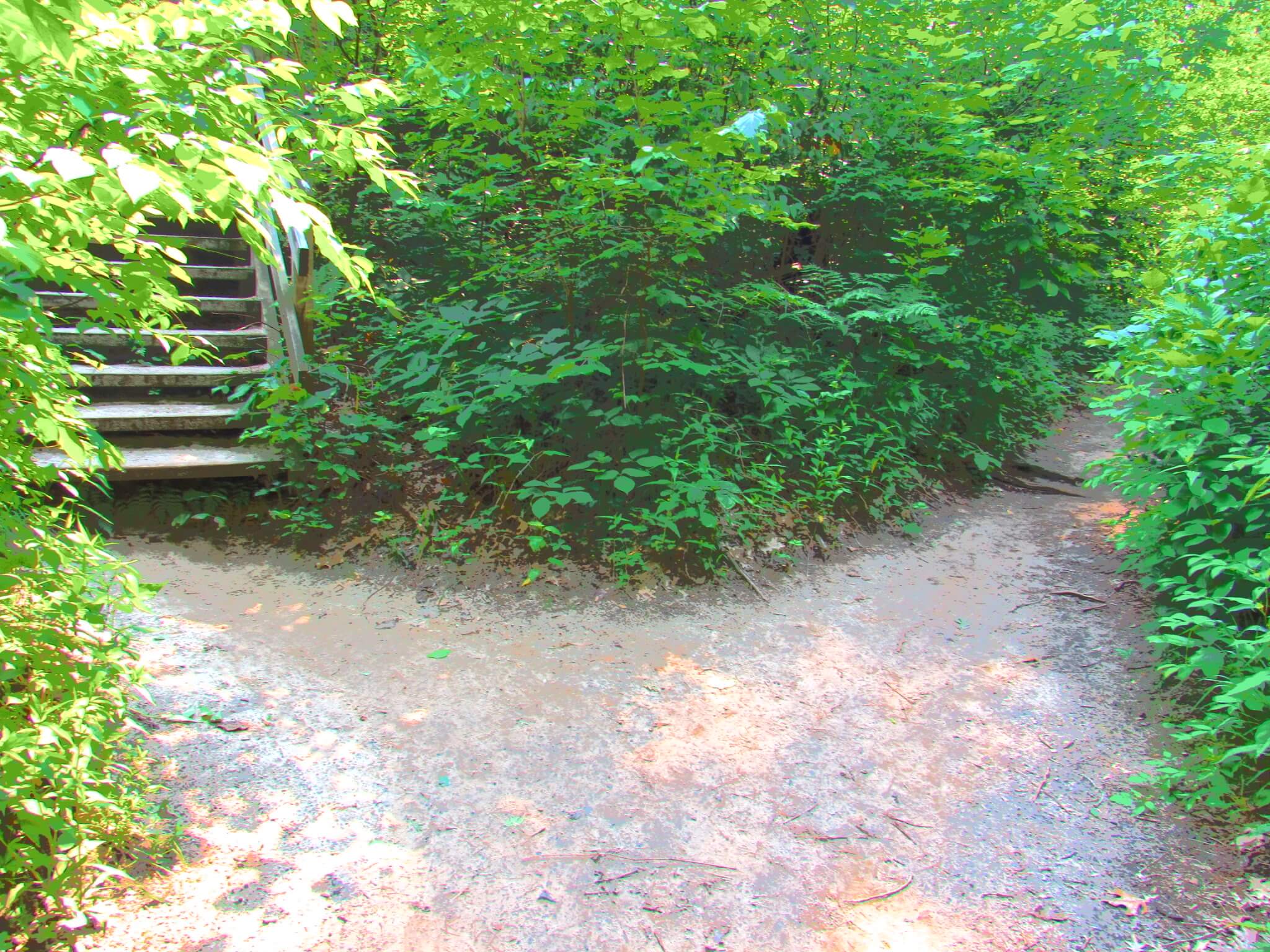 Honoring the Day - ron stempkowski