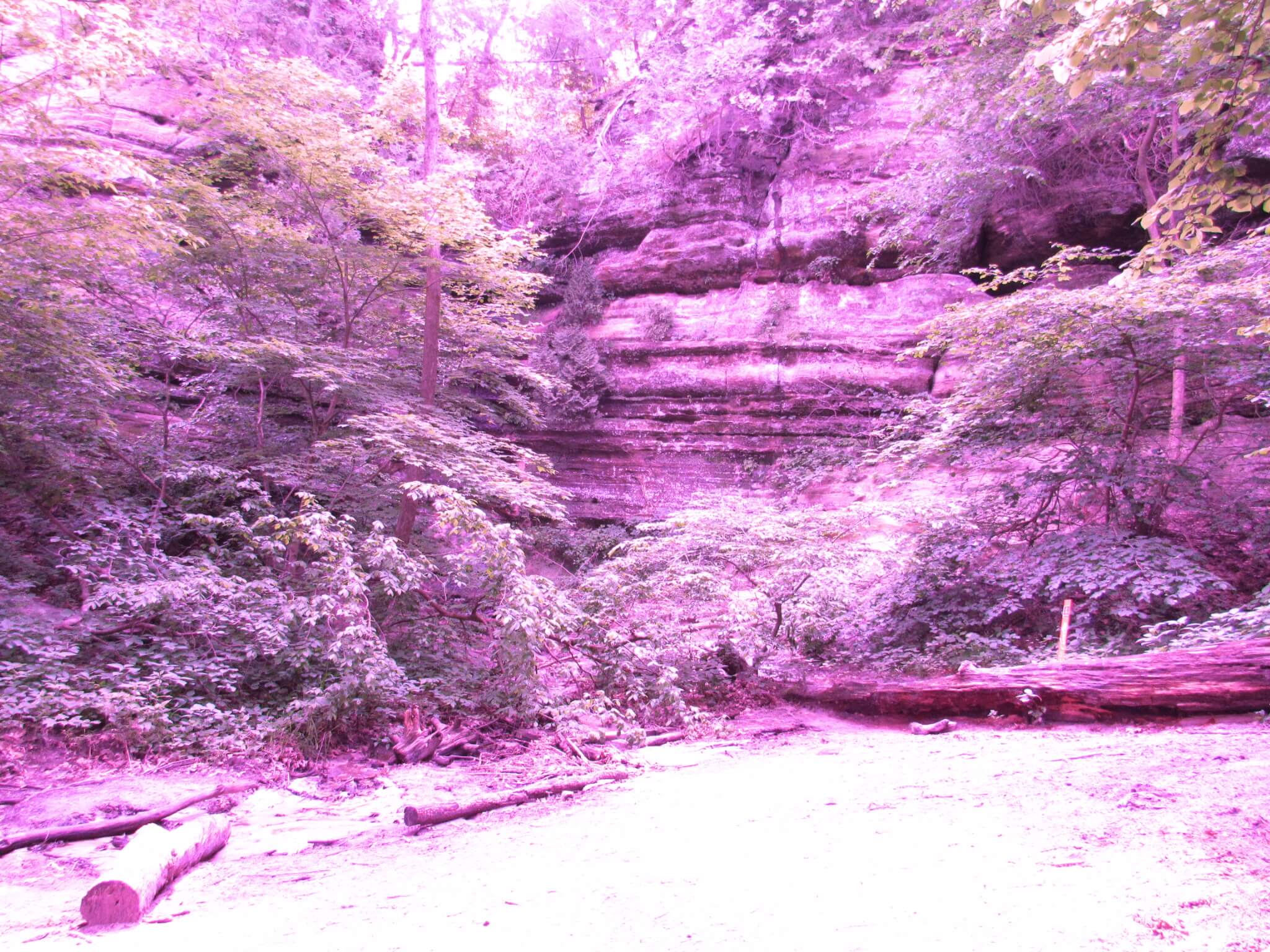 Honoring the Day | ron stempkowski